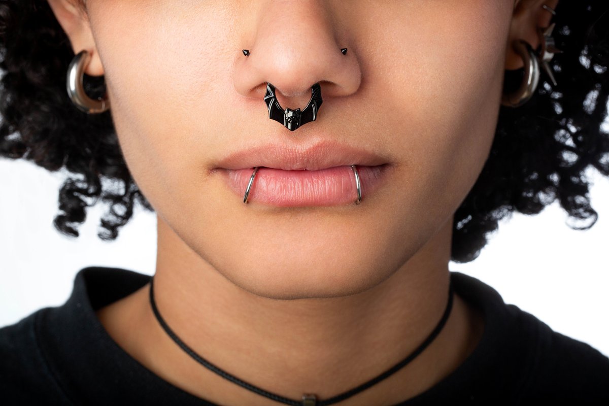 Hinged Segment Rings – piercedowl